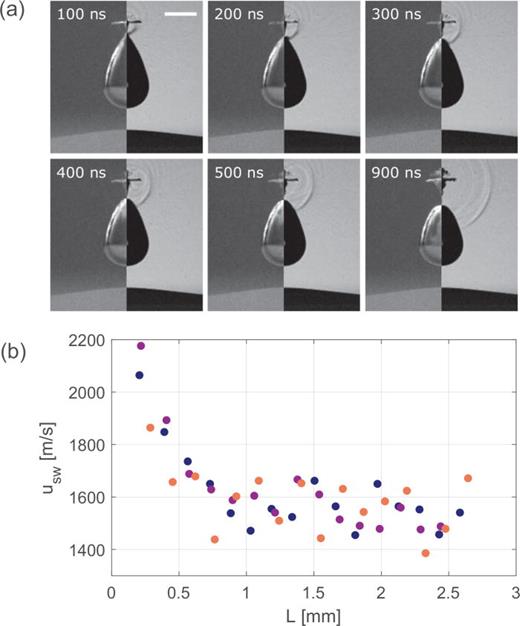 Cavitation bubble dynamics and microjet atomization near tissue ...