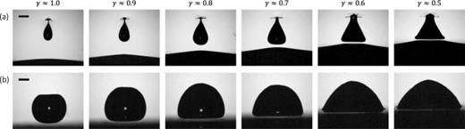Cavitation bubble dynamics and microjet atomization near tissue ...