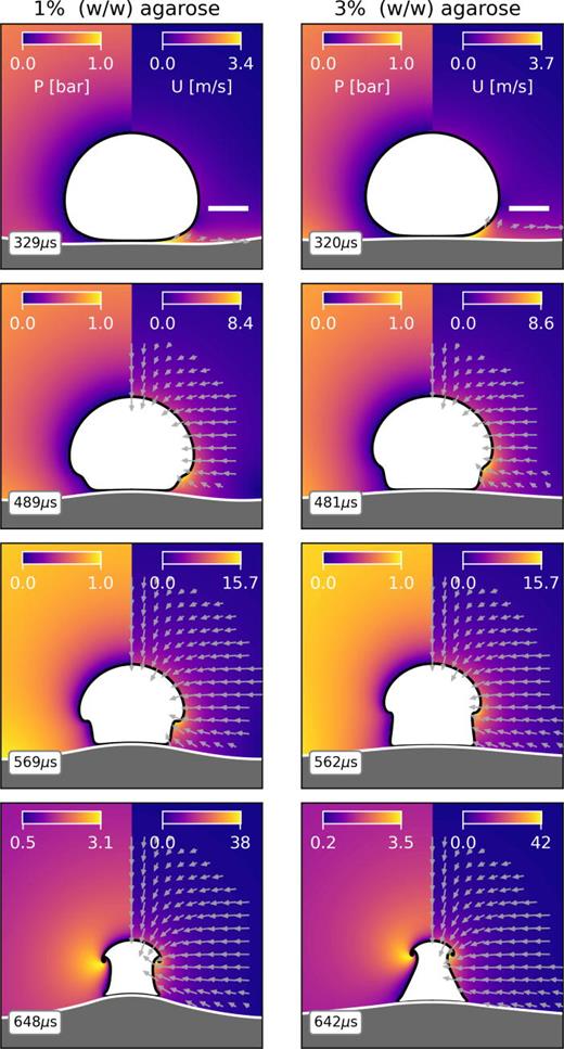 Cavitation bubble dynamics and microjet atomization near tissue ...