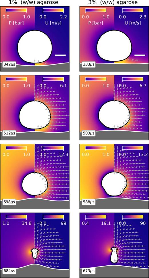 Cavitation bubble dynamics and microjet atomization near tissue ...