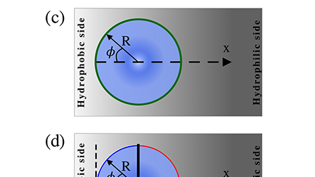 Force balance model for spontaneous droplet motion on bio-inspired ...