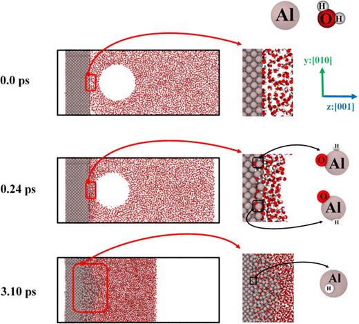 Reactive-dynamic characteristics of a nanobubble collapse near a solid boundary using molecular ...
