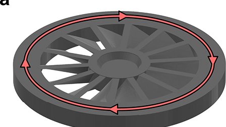 Spin and velocity correlations in a confined two-dimensional fluid of ...