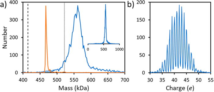 Coronavirus peplomer charge heterogeneity | Physics of Fluids | AIP ...