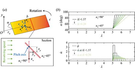 Vorticity dynamics of fully developed leading-edge vortices on ...