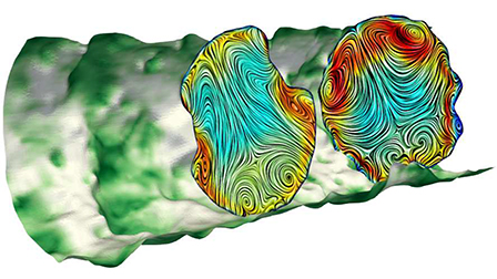 Large eddy simulations of fully developed turbulent flows over ...