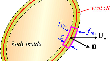 Kinetic modeling of immersed boundary layer for accurate evaluation of local surface stresses ...