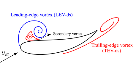 Propulsion of a combined heaving and trailing-edge morphing foil for ...