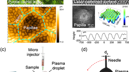 Electrothermally excited plasma droplet evolution on the laser ...