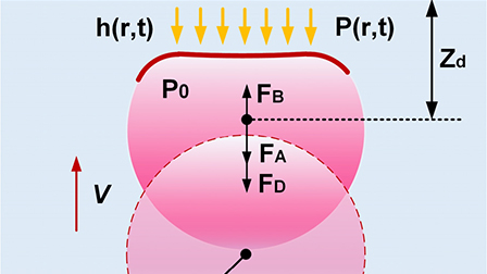 Kinetic analysis of a freely rising droplet in water during collision ...