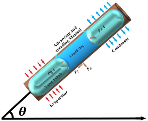 On the interaction between liquid slug and vapor bubble in the chaotic ...