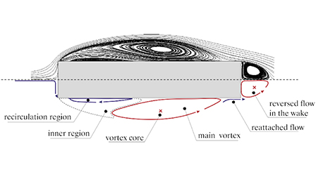 Distribution and spanwise correlation of aerodynamic forces on a 5:1 rectangular cylinder in the ...