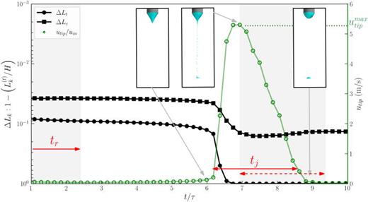 Dynamics of three-dimensional electrohydrodynamic instabilities on ...