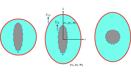 Volume 35 Issue 5 | Physics of Fluids | AIP Publishing