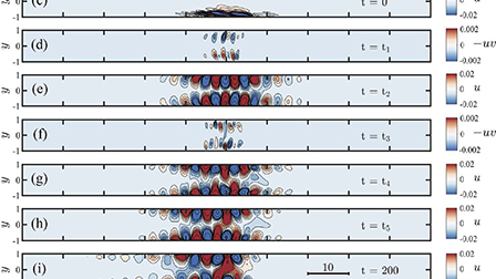 Nonlinear optimal perturbations and formation mechanism of localized ...