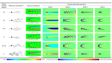 Vortex shedding analysis of flows past forced-oscillation cylinder with ...