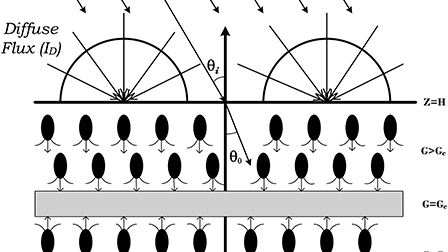 Phototactic bioconvection with the combined effect of diffuse and oblique collimated flux on an ...