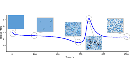 Crystallization in highly supersaturated, agitated sucrose solutions ...