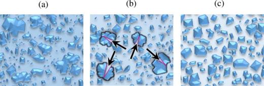 Crystallization in highly supersaturated, agitated sucrose solutions ...