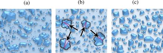 Crystallization in highly supersaturated, agitated sucrose solutions ...