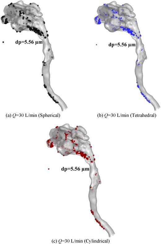 How microplastics are transported and deposited in realistic upper ...