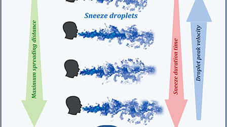 Effect of sneeze flow velocity profiles on the respiratory droplets ...