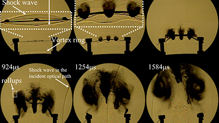 The interaction between droplets and the vortex ring after a shock wave ...