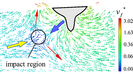 Numerical analysis of water entry under ocean currents with smoothed particle hydrodynamics ...