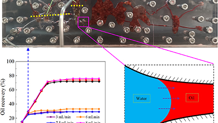 Experimental study on fluid flow behaviors of waterflooding fractured ...
