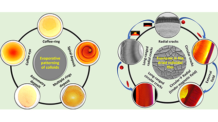 Physics of drying complex fluid drop: Flow field, pattern formation ...