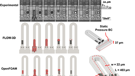 An OpenFOAM framework to model thermal bubble-driven micro-pumps ...