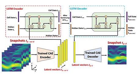 Comparison of reduced order models based on dynamic mode decomposition and deep learning for ...