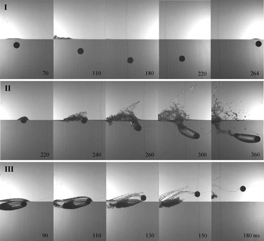 Skipping under water: Buoyant sphere hydrodynamics at the air–water ...