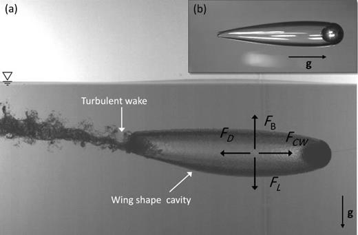 Skipping under water: Buoyant sphere hydrodynamics at the air–water ...