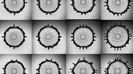 Water drop impacts on regular micropillar arrays: Asymmetric spreading ...