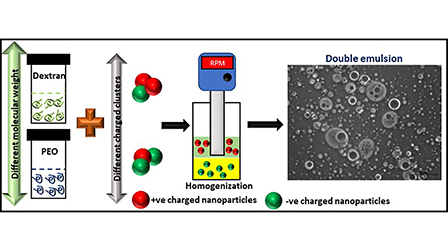 Single-step generation of double emulsions in aqueous two-phase systems ...