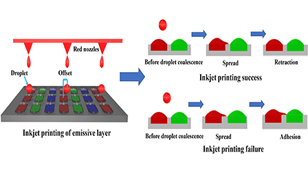 Spread and retraction dynamics of droplet coalescence on a rectangular ...