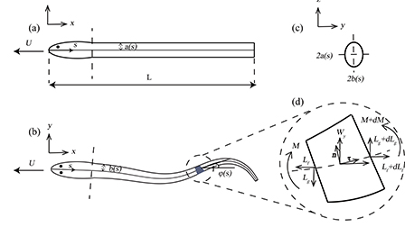 Effects of body stiffness on propulsion during fish self-propelled ...