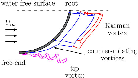 Analysis of the wake flow behind concave curved cylinders with velocity ...