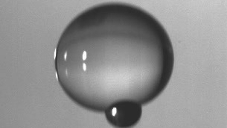 Impact dynamics of a viscous drop containing a particle | Physics of ...