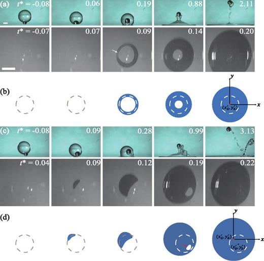 Impact dynamics of a viscous drop containing a particle | Physics of ...