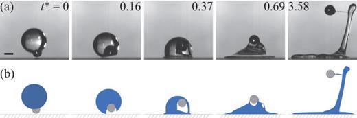 Impact dynamics of a viscous drop containing a particle | Physics of ...
