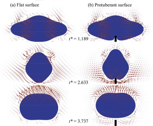 Effects of protuberant structure on coalescence-induced jumping of ...
