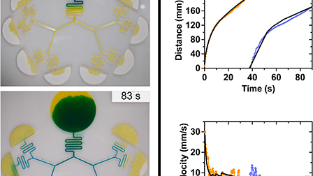 Enhanced capillary pumping using open-channel capillary trees with ...