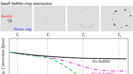 Vortex ring and bubble interaction: Effects of bubble size on vorticity ...