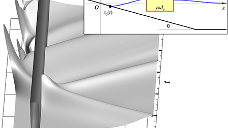 Numerical modeling of the long surface wave impact on a partially ...