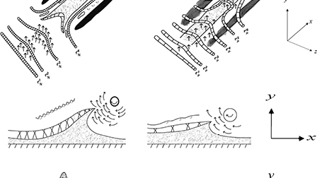 Polymer drag reduction: A review through the lens of coherent ...
