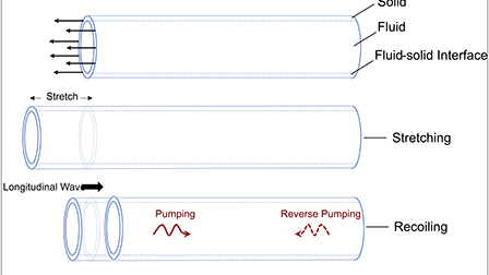 On the longitudinal wave pumping in fluid-filled compliant tubes ...