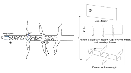 Numerical simulation of proppant migration and sedimentation behavior in complex fractures based ...