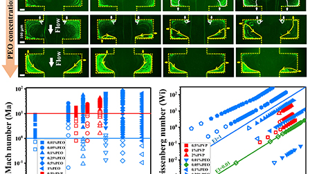Rheology mediates transition of vortex evolution patterns in ...